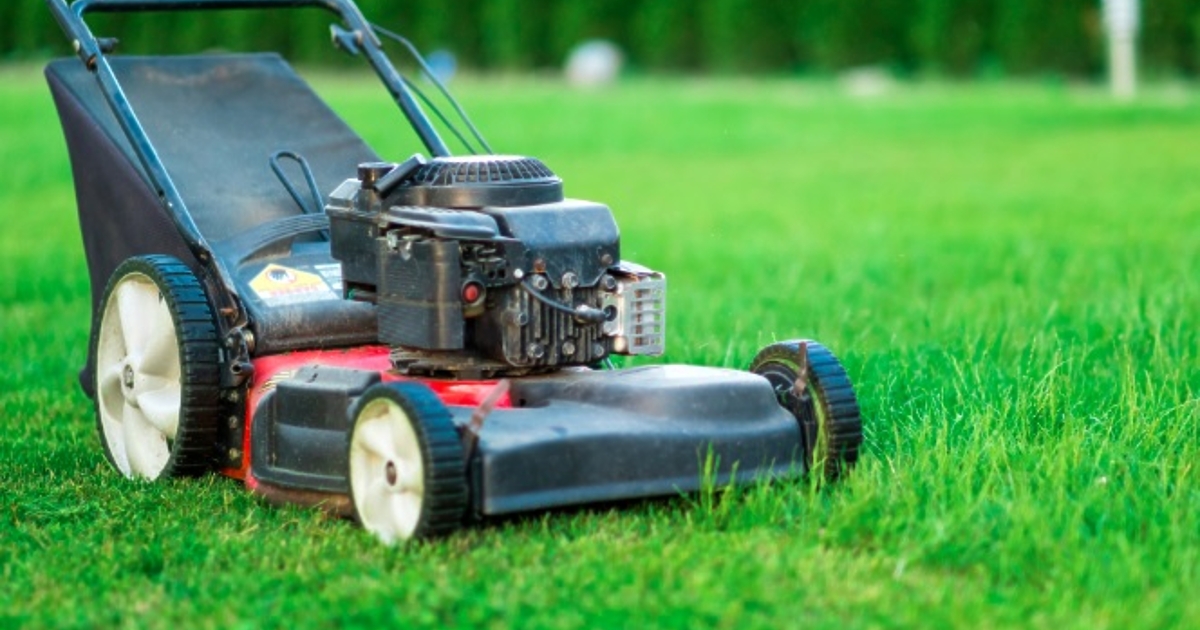 Как да поддържаме двора си чист и свеж в началото на лятото?